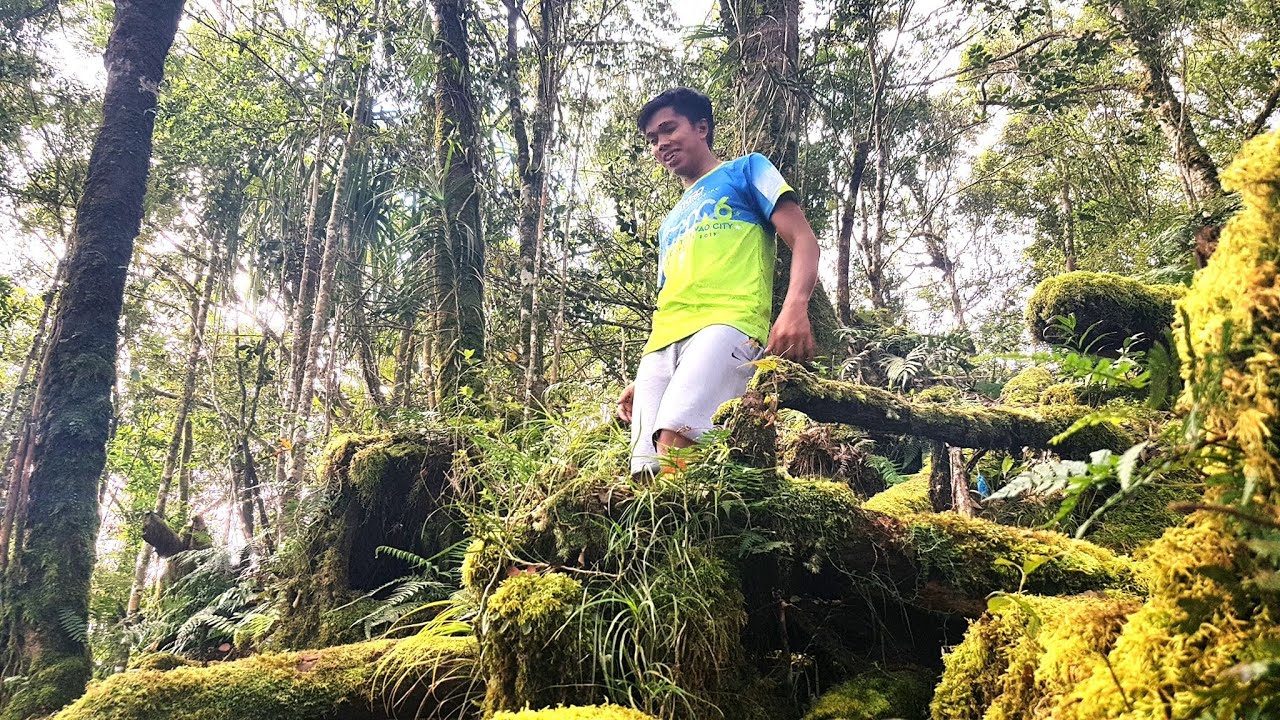 Battlefield, Tagurano Toril, Davao City - YouTube