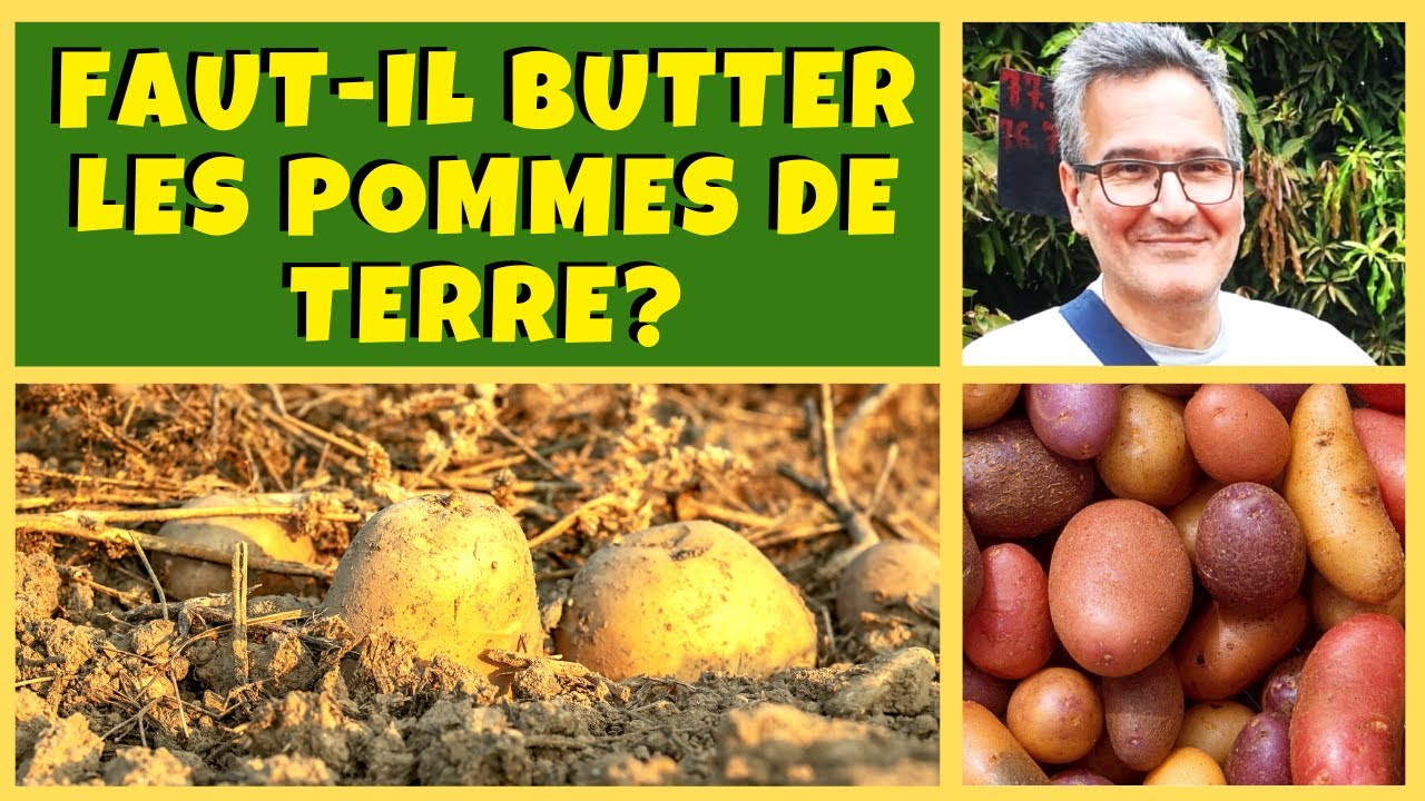 Faut-il (vraiment) butter les pommes de terre ? - YouTube