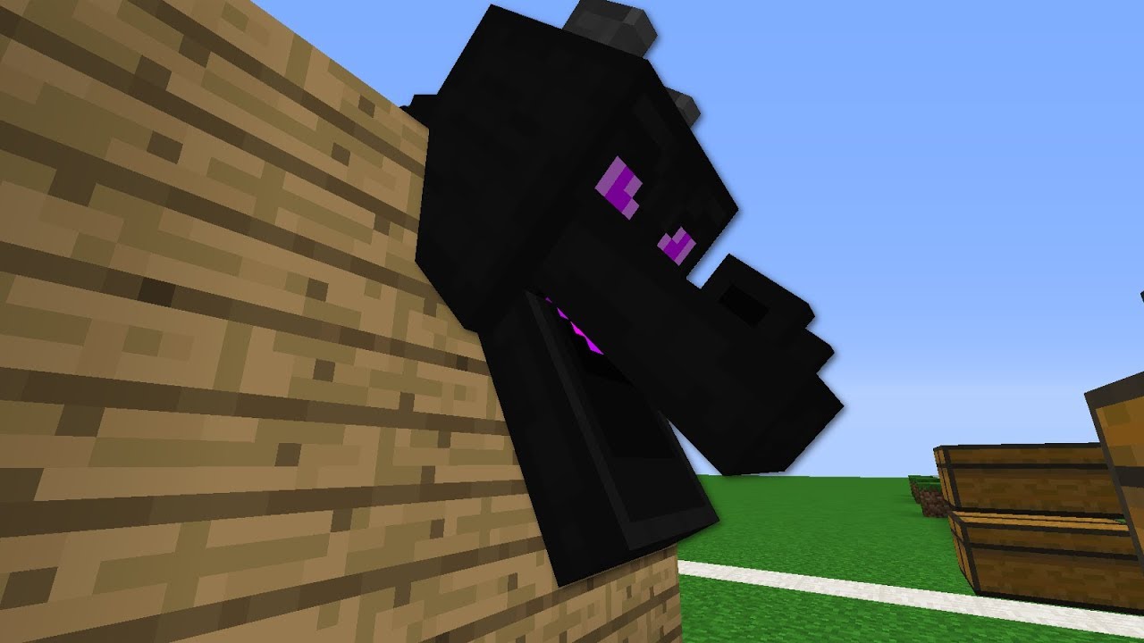 Minecraft Dinnerbone Ender Dragon