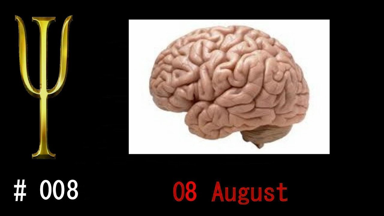 Repression Psychology Term Of The Day YouTube repression-psychology-term-of-the-day-youtube