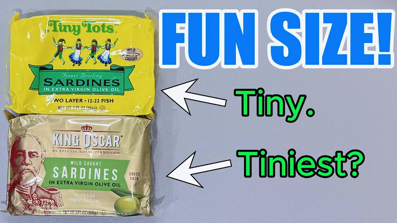 King Oscar cross pack vs Tiny Tot!! 🤔 - YouTube
