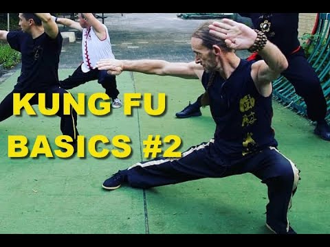 KUNG FU BASICS - 蔡李佛 - LESSON TWO - YouTube
