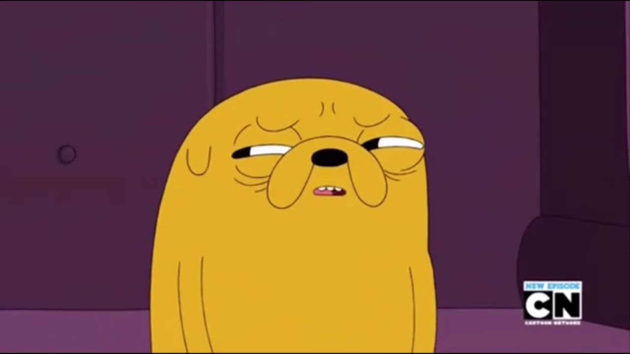 Goats n’ oats // Cabras de avena - YouTube