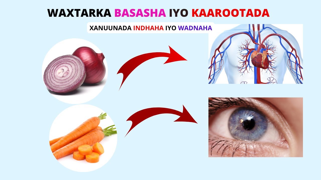 Waxtarka Basasha Iyo Kaarootada Indhaha | Maqaarka | Wadnaha - YouTube