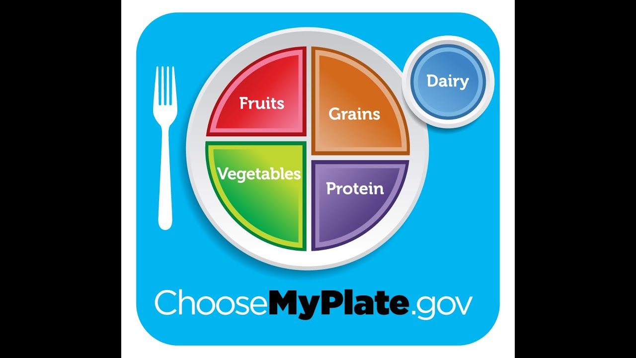 My Plate- Nutrition Basics - YouTube