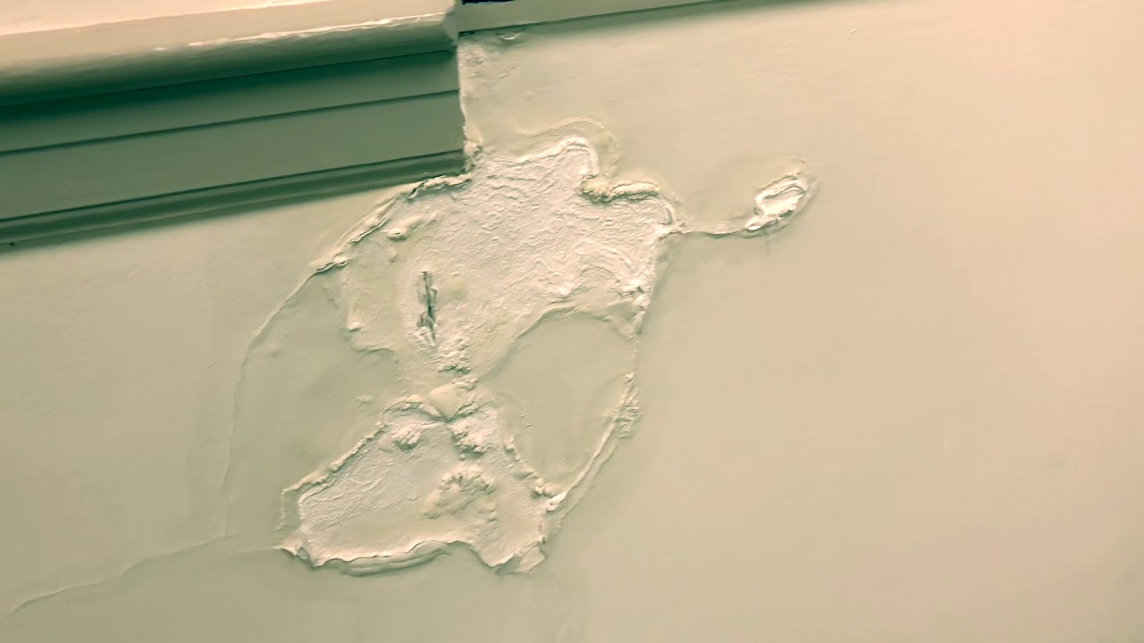Mold at Bladen County Courthouse - YouTube
