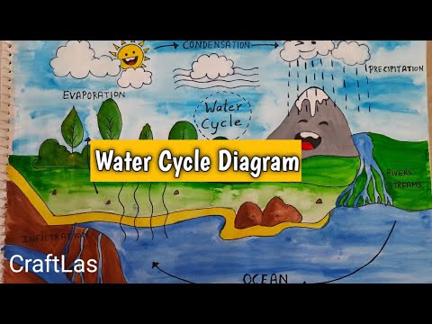 #Water #Cycle #Drawing With Full Explanation | Diagram Water Cycle For ...
