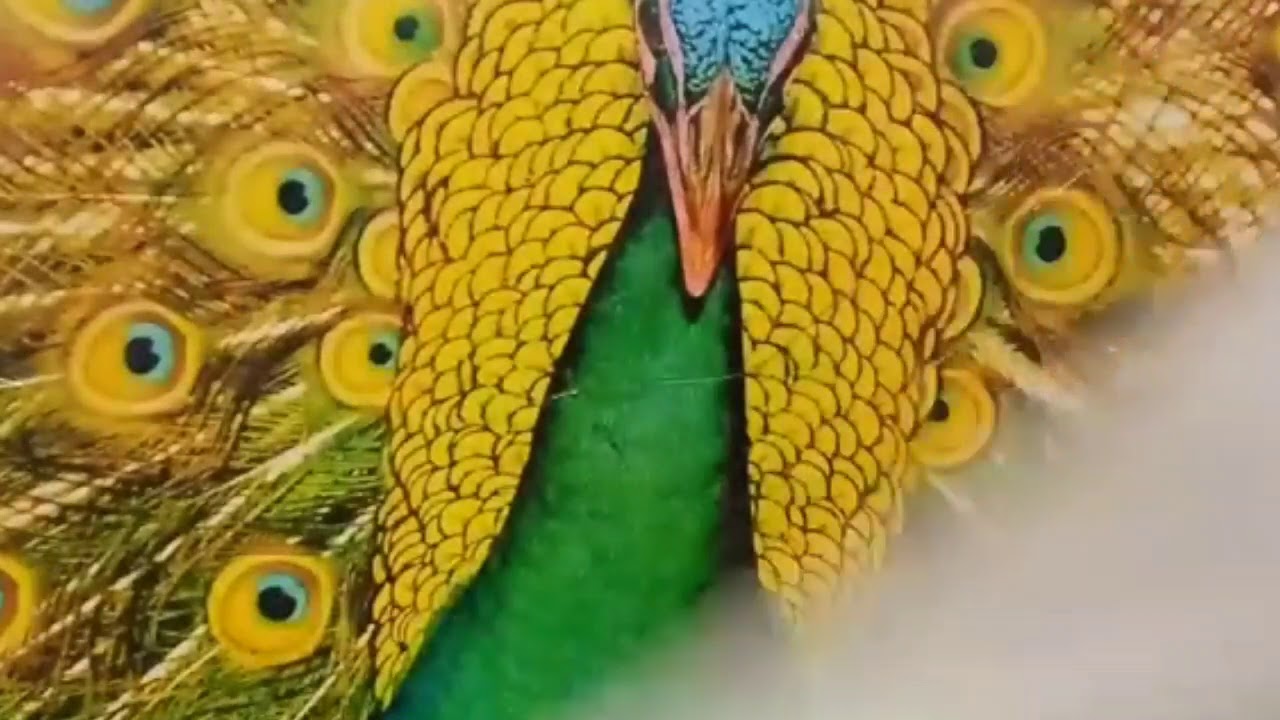 STD 7 Practice set 1 Mathematics - YouTube