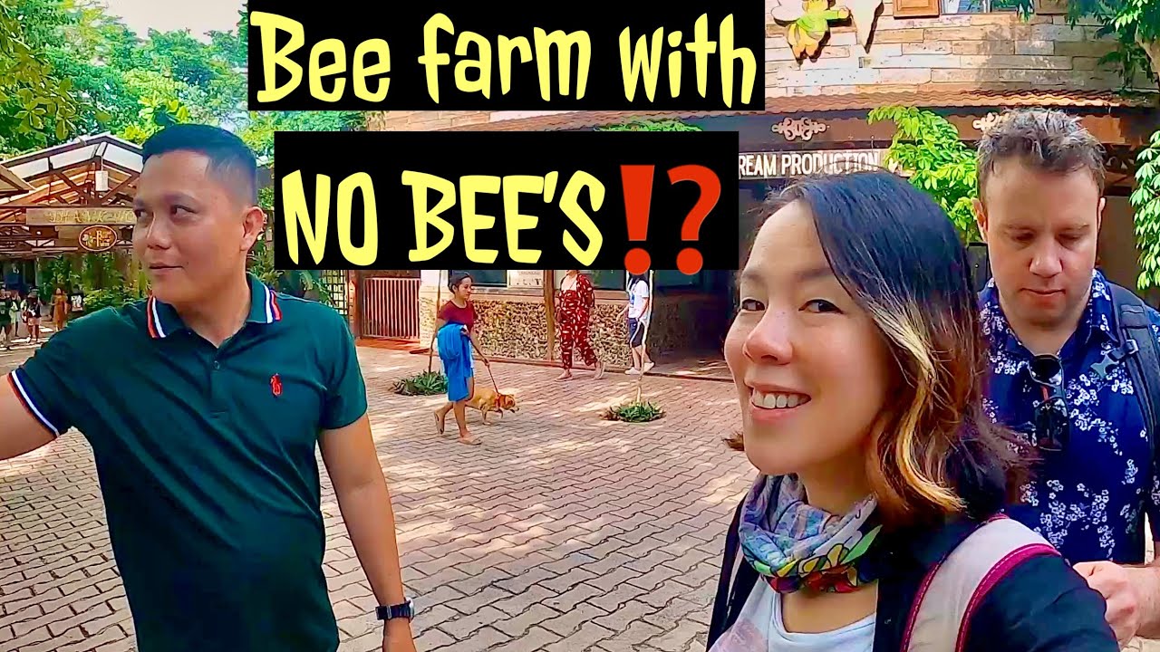 Let’s ride‼️ Bohol Bee Farm with Filipino British couple. Travel ...