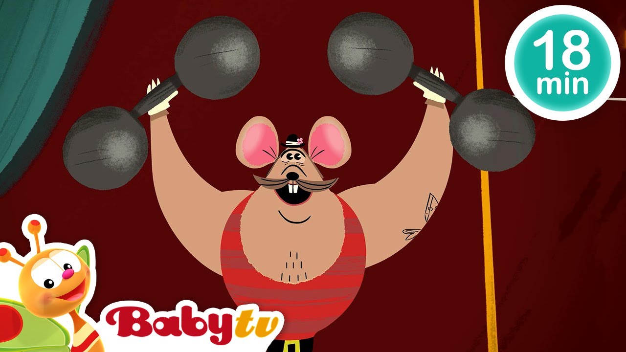 Cyrk jest w mieście 🎪 | Cyrkowa piosenka | Filmy dla dzieci | @BabyTVPL ...