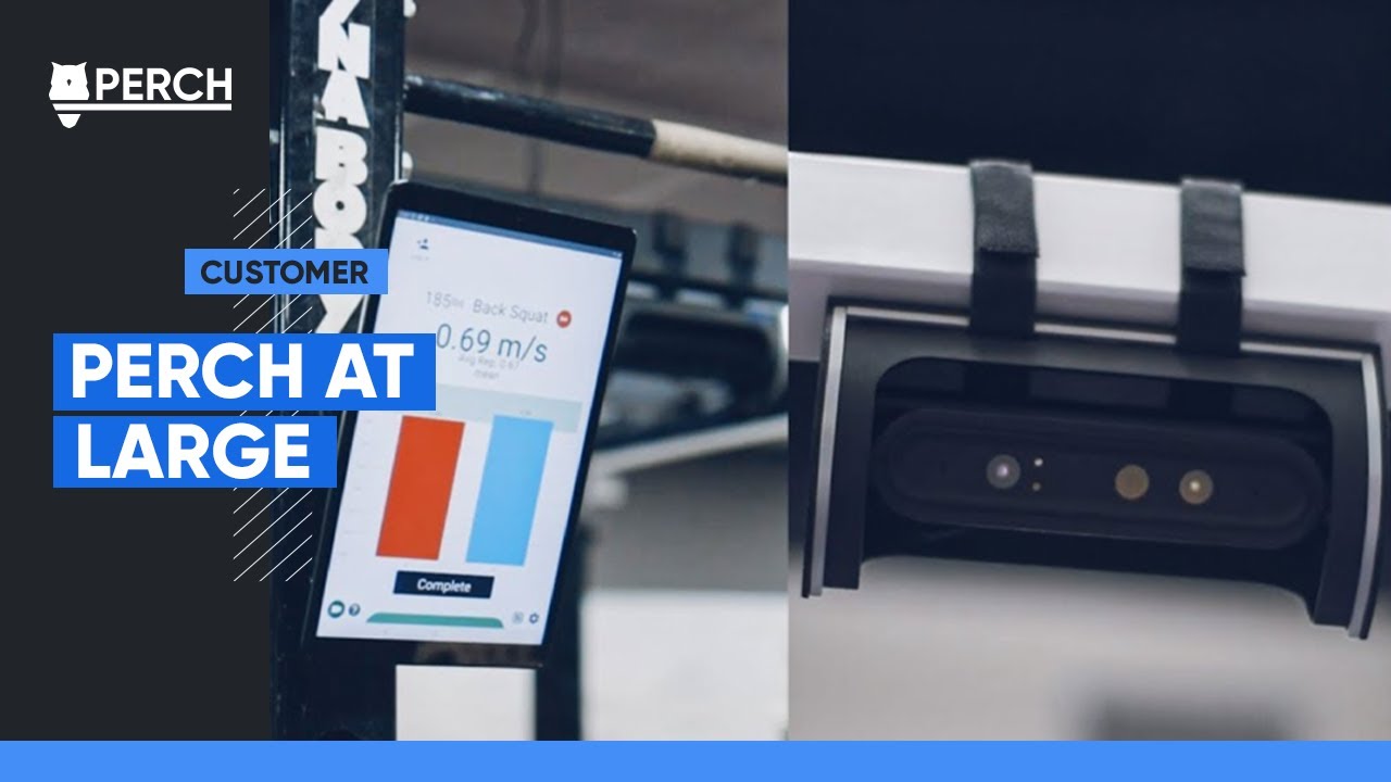 Perch at Large - YouTube