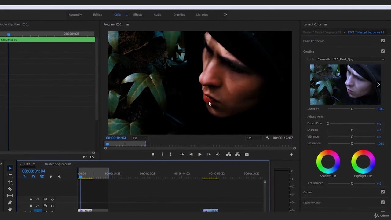 (5. Color Correction & Color Grading) 4. Importing Custom LooksLUTs ...