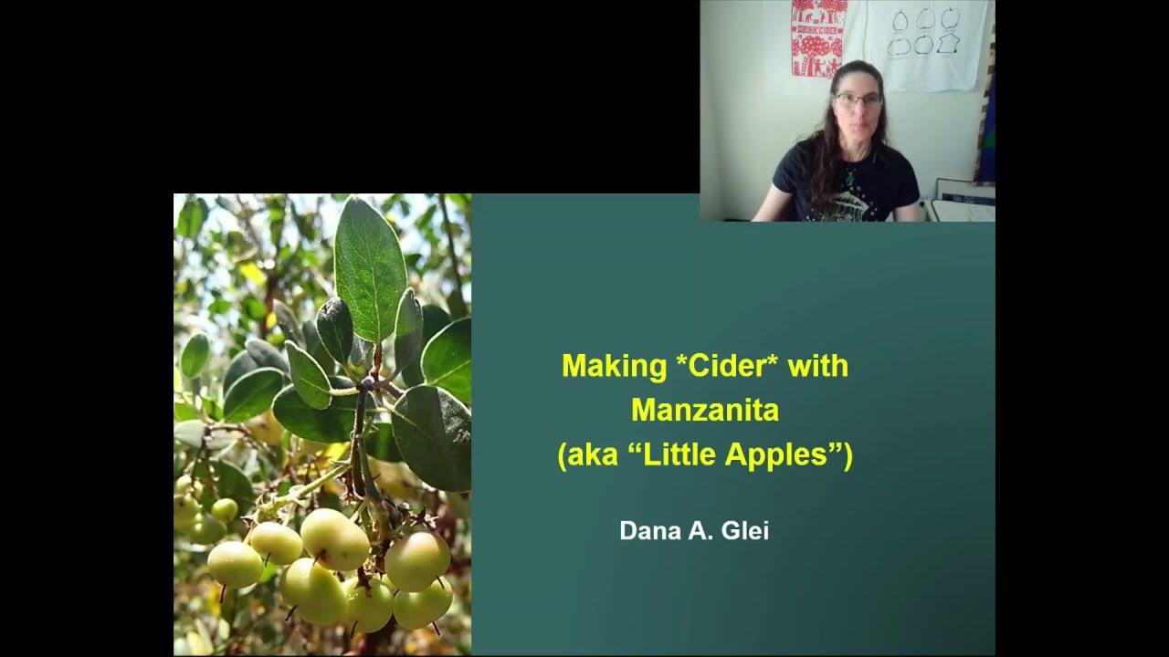 Making *Cider* with Manzanita ("Little Apples") - YouTube