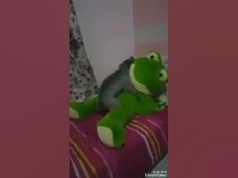Bokep goblok sama anjing sama boneka - YouTube
