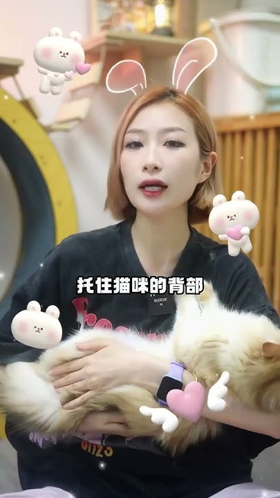 猫奴十三 猫咪抱起来就想跑，是你抱猫的姿势不对猫咪 科学养宠攻略 抱猫姿势 懂喵的yota Youtube