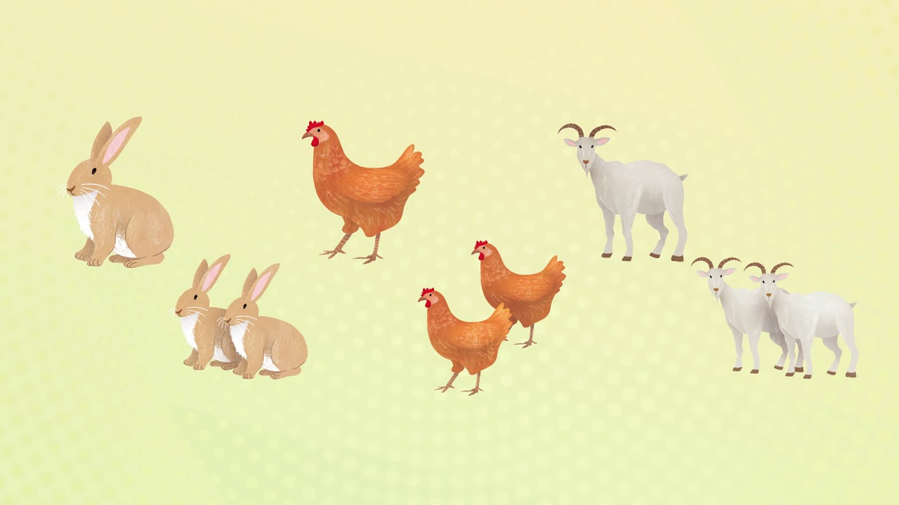 AnimalsㅣWord ChantㅣOpen Up - YouTube