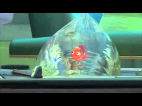 Finding Nemo clip - YouTube