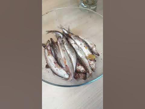 мойва пряного посола - YouTube