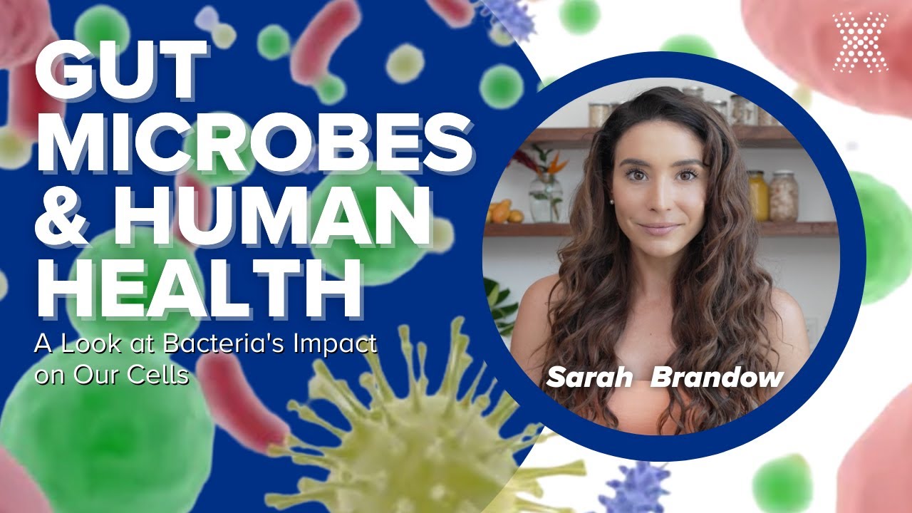 Gut Microbes & Human Health : A Look at Bacteria's Impact on Our Cells ...