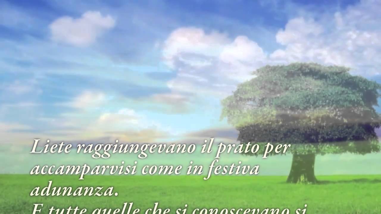 Platone Il Mito di ER - YouTube