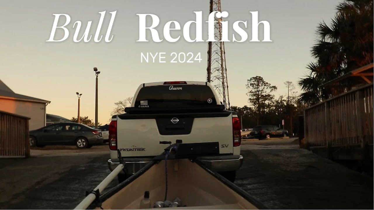 BULL REDFISH (2024) - YouTube