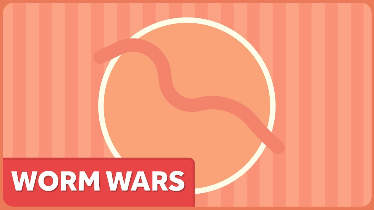 Replication, Re-Analysis, and Worm Wars - YouTube