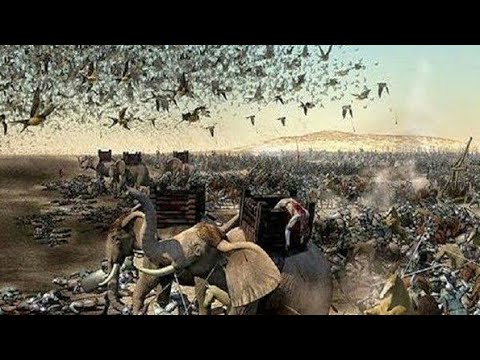 KABE' yi koruyan ebabil kuşları..!!!