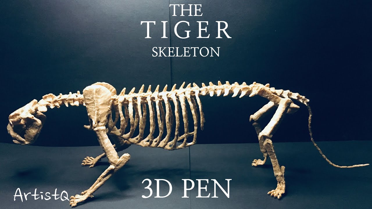 Drawing a skeleton tiger with a 3D pen - YouTube