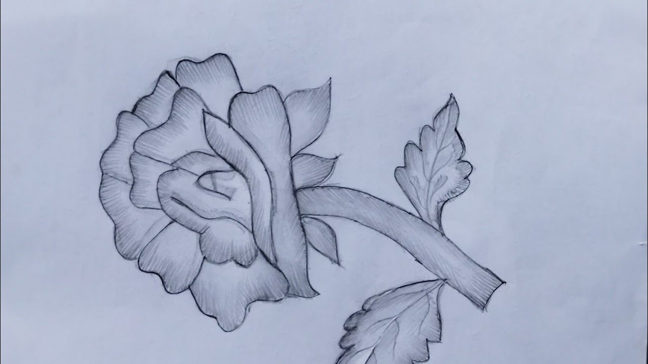 How To Rose Draw/ Pencil Se Gulab ko Banane ka Tareeka /Gulab Banane ka ...