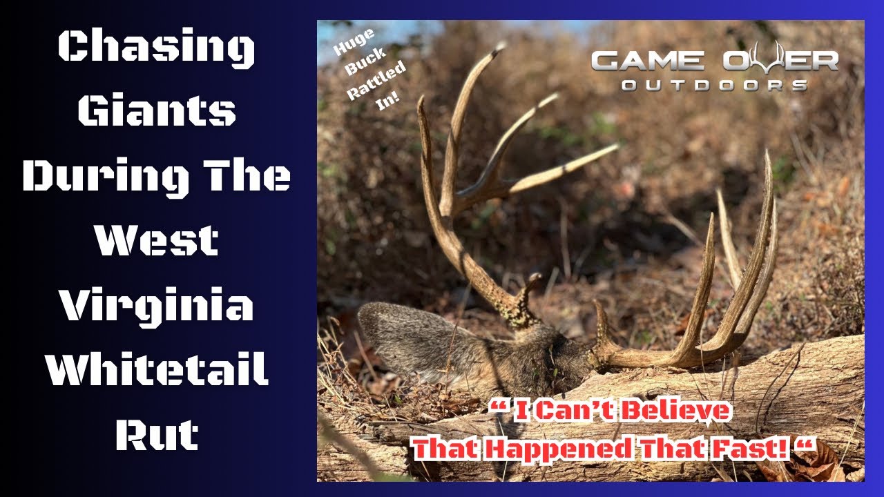 Chasing Giants During The West Virginia Whitetail Rut! Huge Buck ...