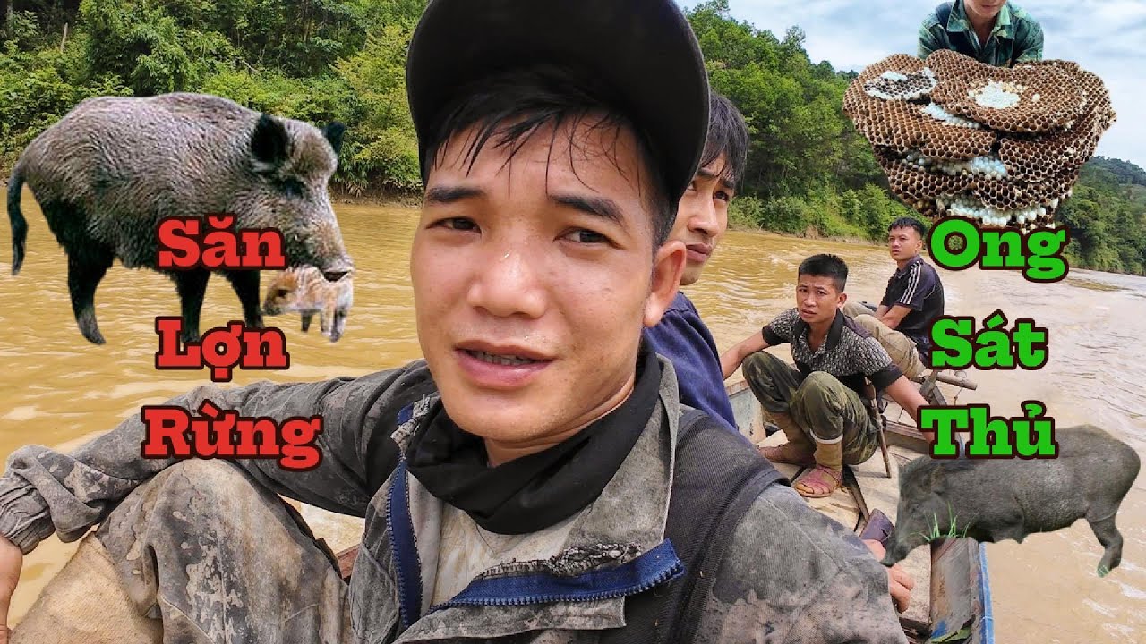 Săn Lợn Rừng - Ong Sát Thủ - Ký Sự Rừng Già Tập 1 - YouTube