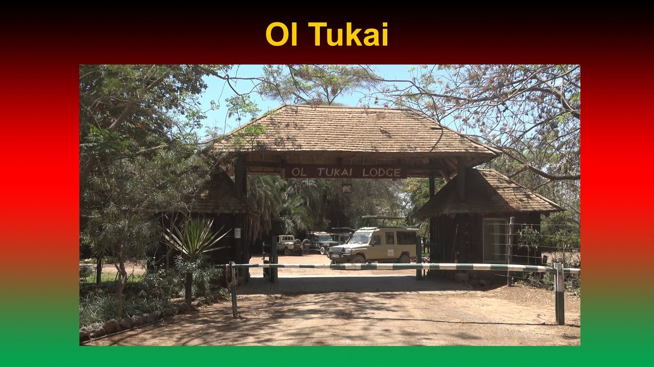 Kenia Info: Ol Tukai Lodge im Amboseli Nationalpark - YouTube