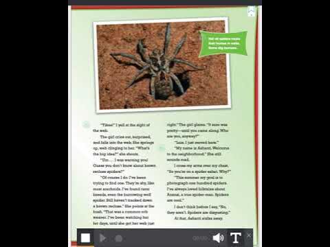 G4 L26 Girl Who Loved Spiders - YouTube