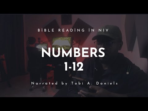 Numbers Chapters 1-12 (NIV Translation Reading) - YouTube