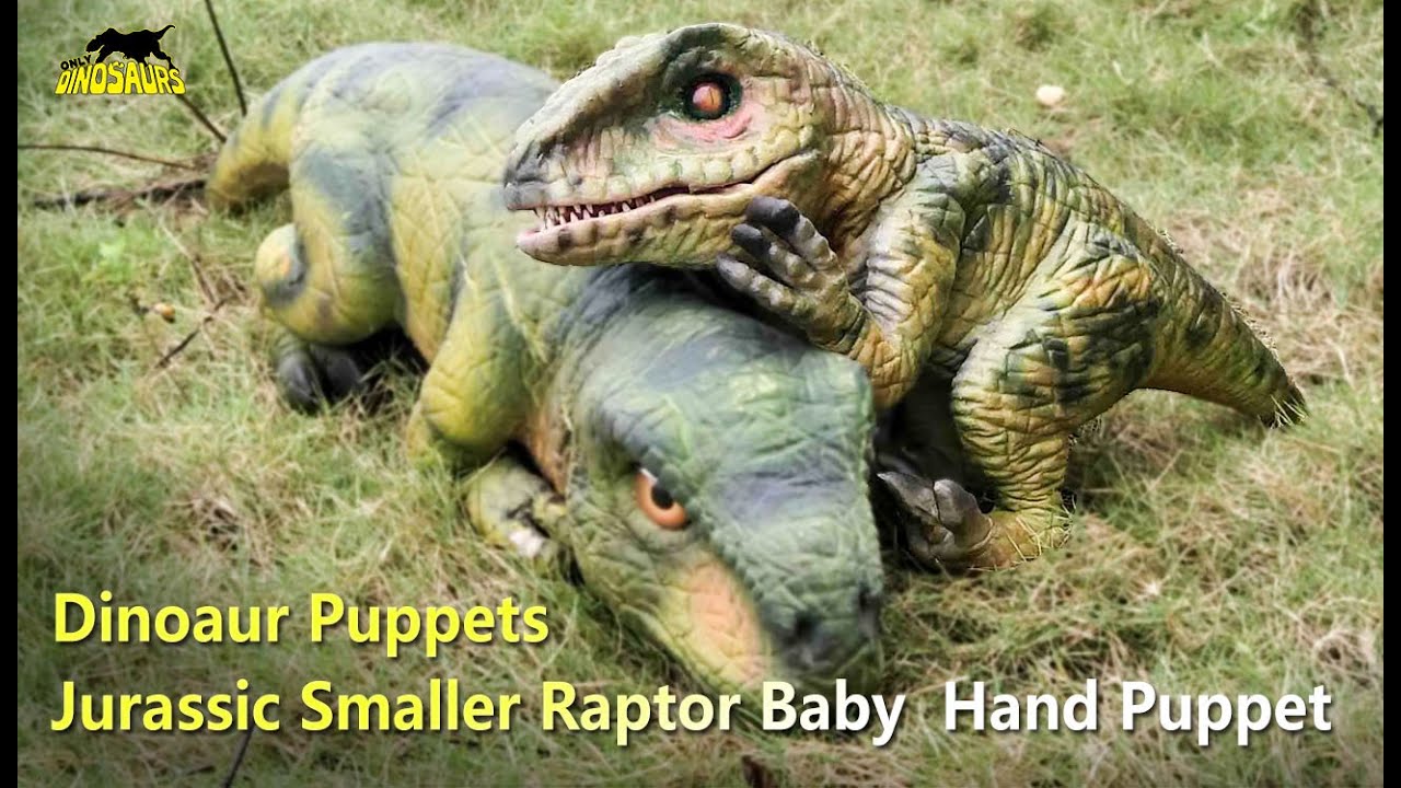 Dinosaur Puppet: Jurassic Park Baby Raptor Hand Puppet | Puppets - YouTube