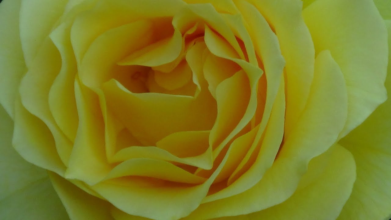 Incantation to Sun and Moon . channeled by Alice B. Clagett - YouTube