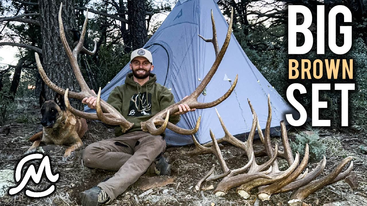 BIG ELK SET & 16 ANTLERS IN A DAY! 2023 Ep. 3 - YouTube