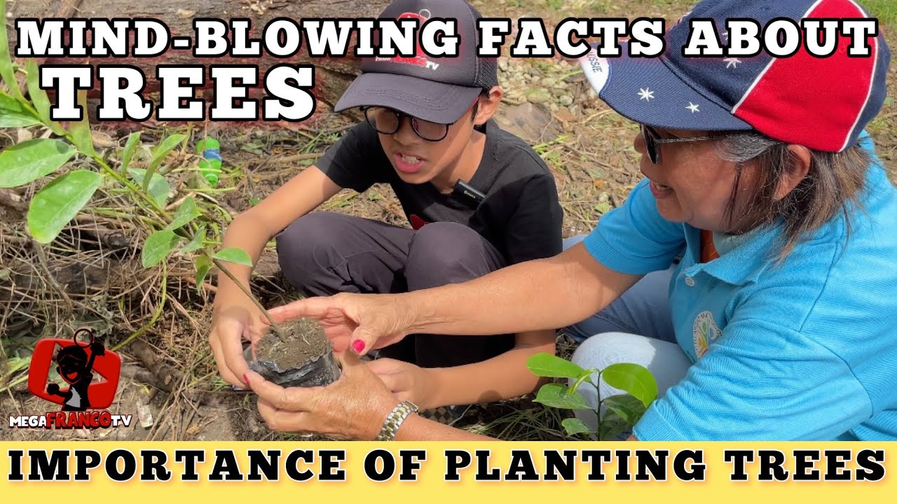 The Importance of planting Trees | Fun Facts about Trees | MegaFrancoTV ...