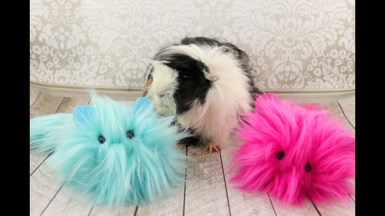 Furball Friends Tutorial - YouTube