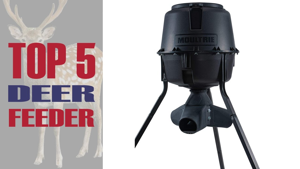 5 Best Deer Feeders On the Market Today - YouTube