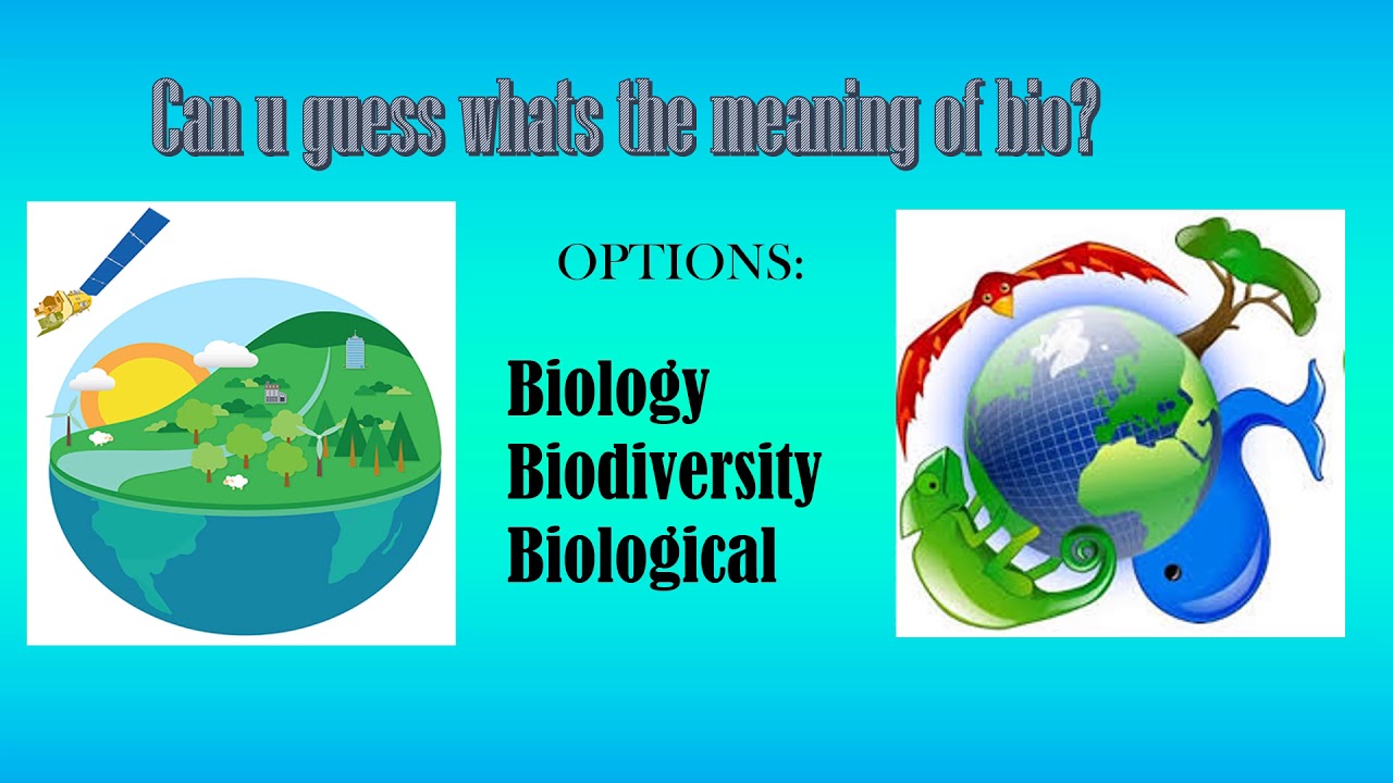 what is a biosphere? grade 7 CBSE Educational Video for Grade 7 - YouTube