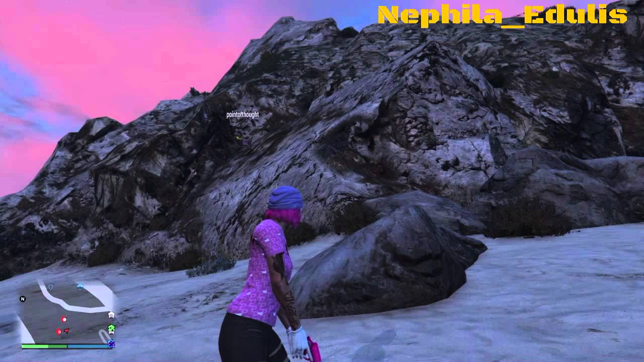 Farting Raccoon - YouTube