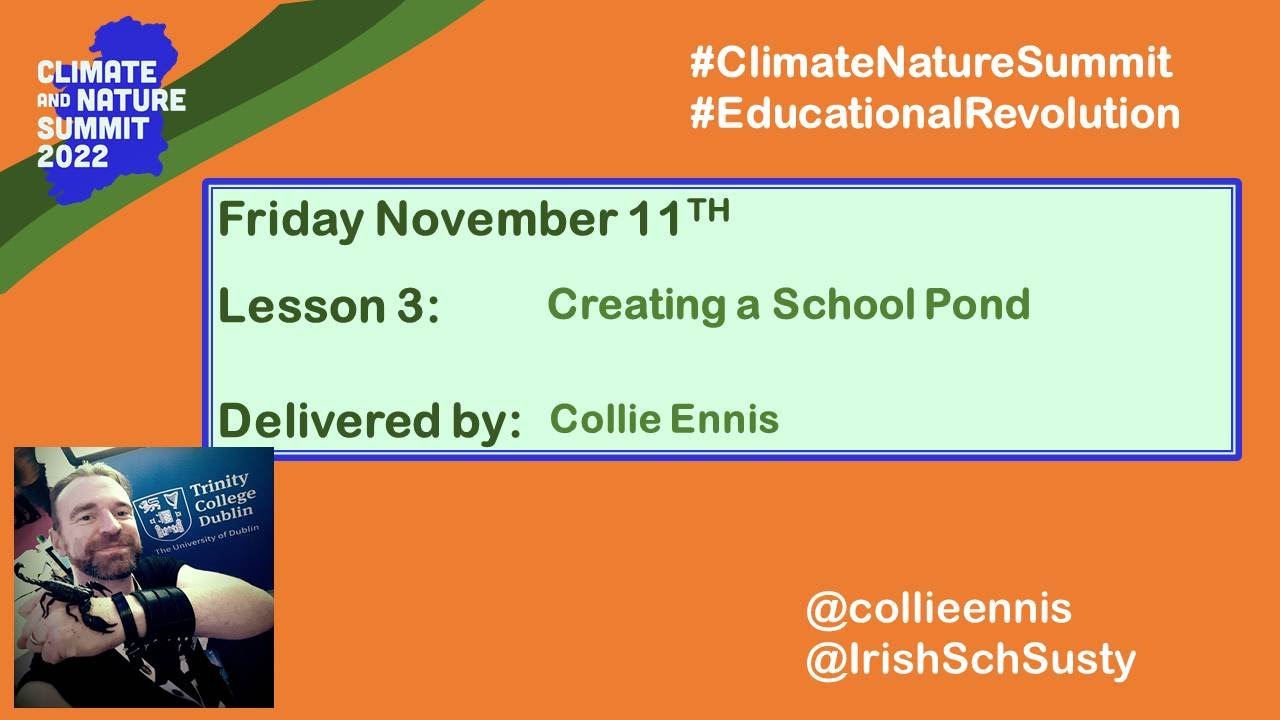 Creating a school pond - YouTube