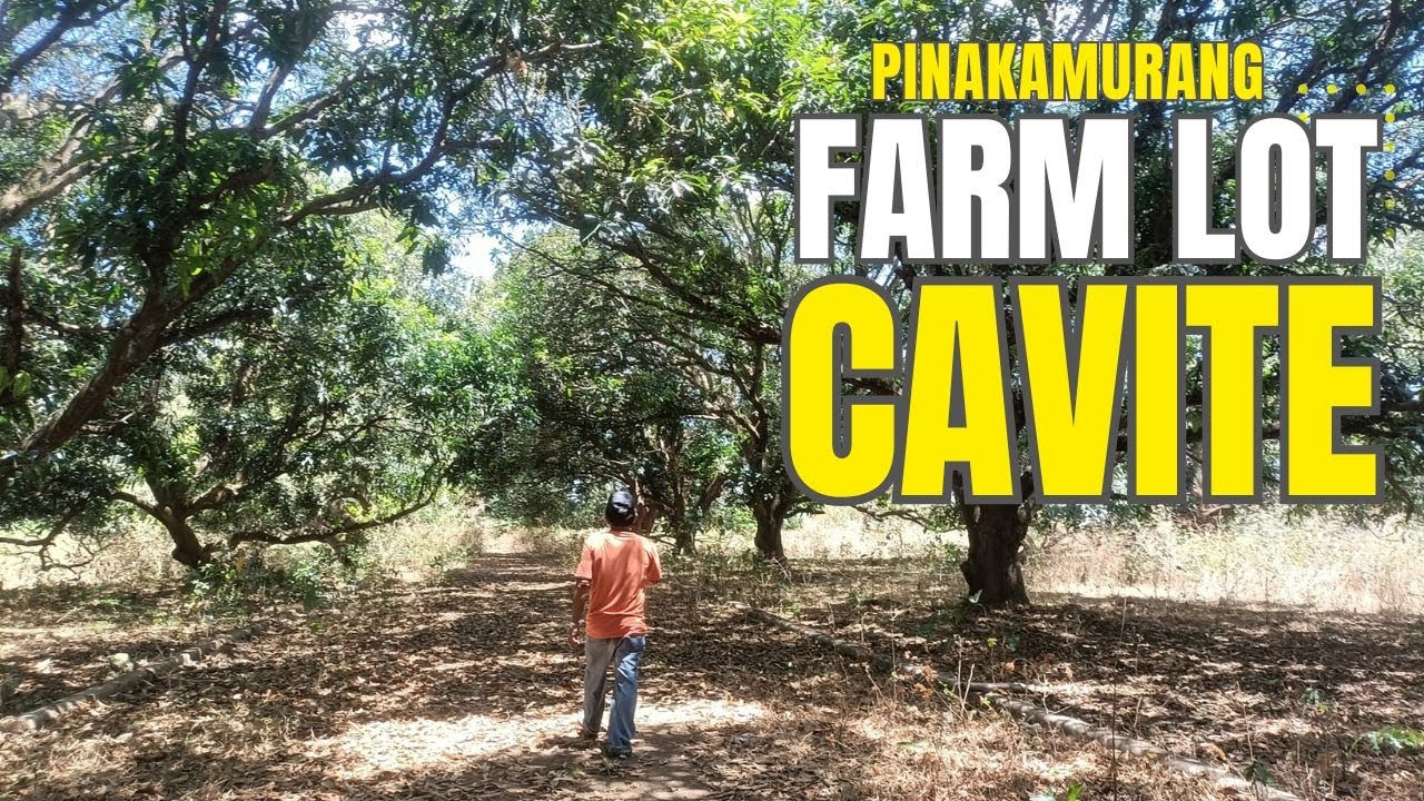 FORECLOSED MANGO ORCHARD NAIC CAVITE - YouTube