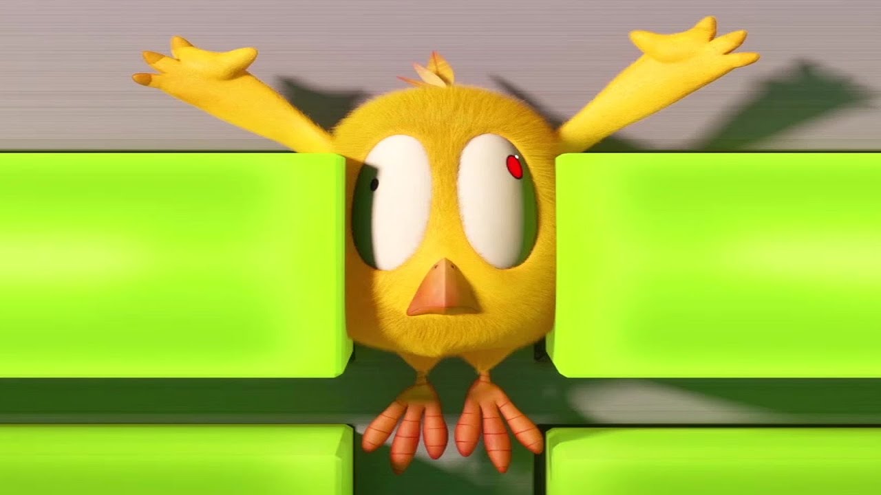 Jumping course | Where's Chicky? | Cartoon Collection in English for ...