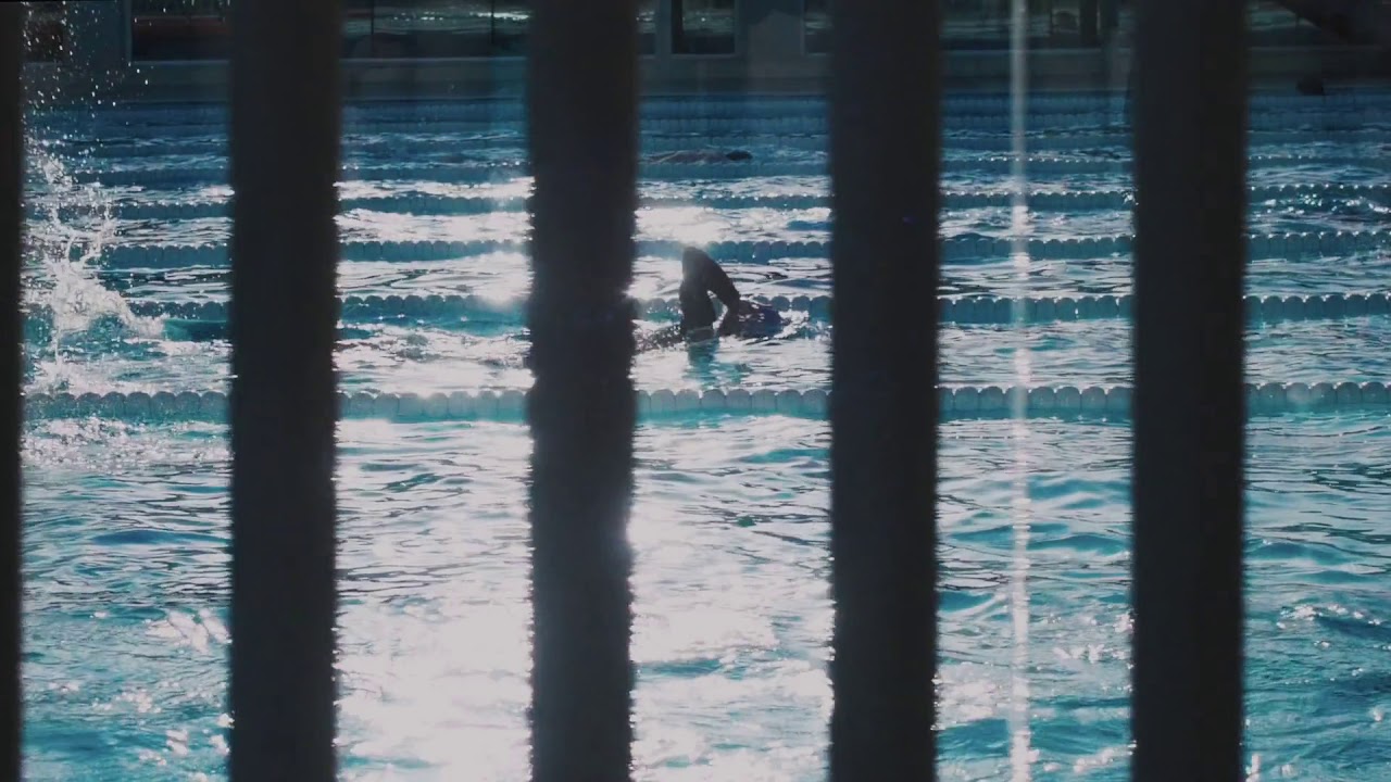 Slow-motion shot of professional athletes training in swimming pool ...