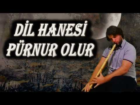 DİL HANESİ PÜR NUR OLUR - RAST İLAHİ (Ney İle İlahiler) #neydinletisi #neysesi #tasavvufmüziği