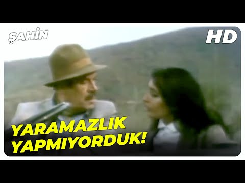 Şahin - Çulsuzların İti Düştün Elimize! | Zerrin Egeliler Eski Türk Filmi