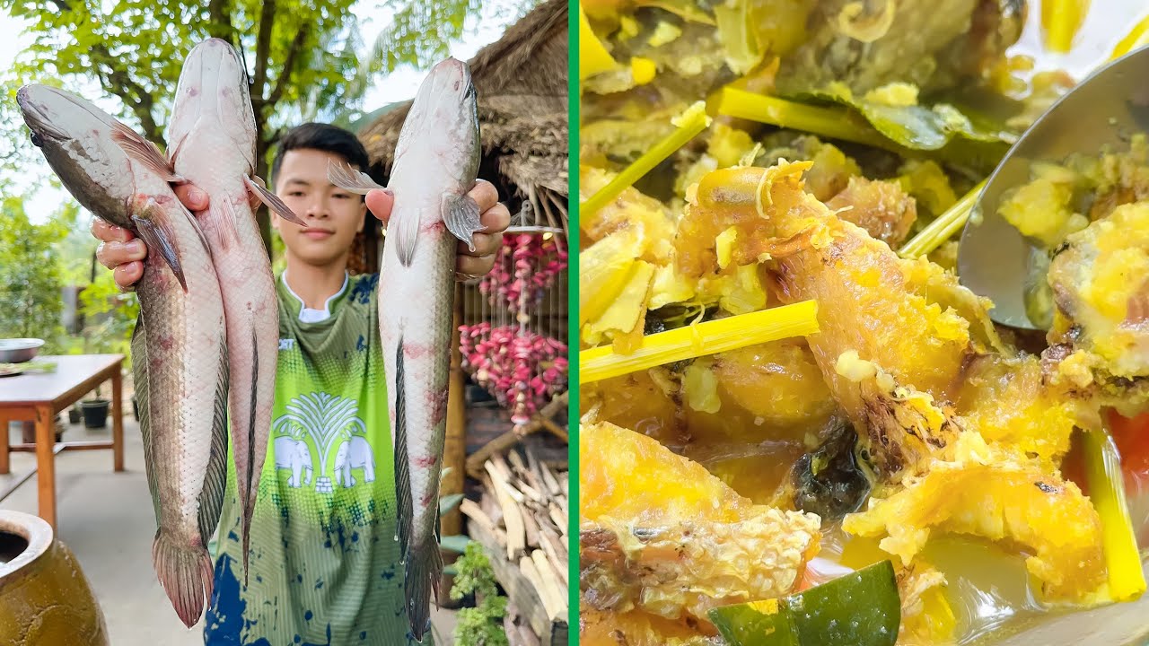 Creamy Wild soup snakehead fish with country style cooking - Country ...