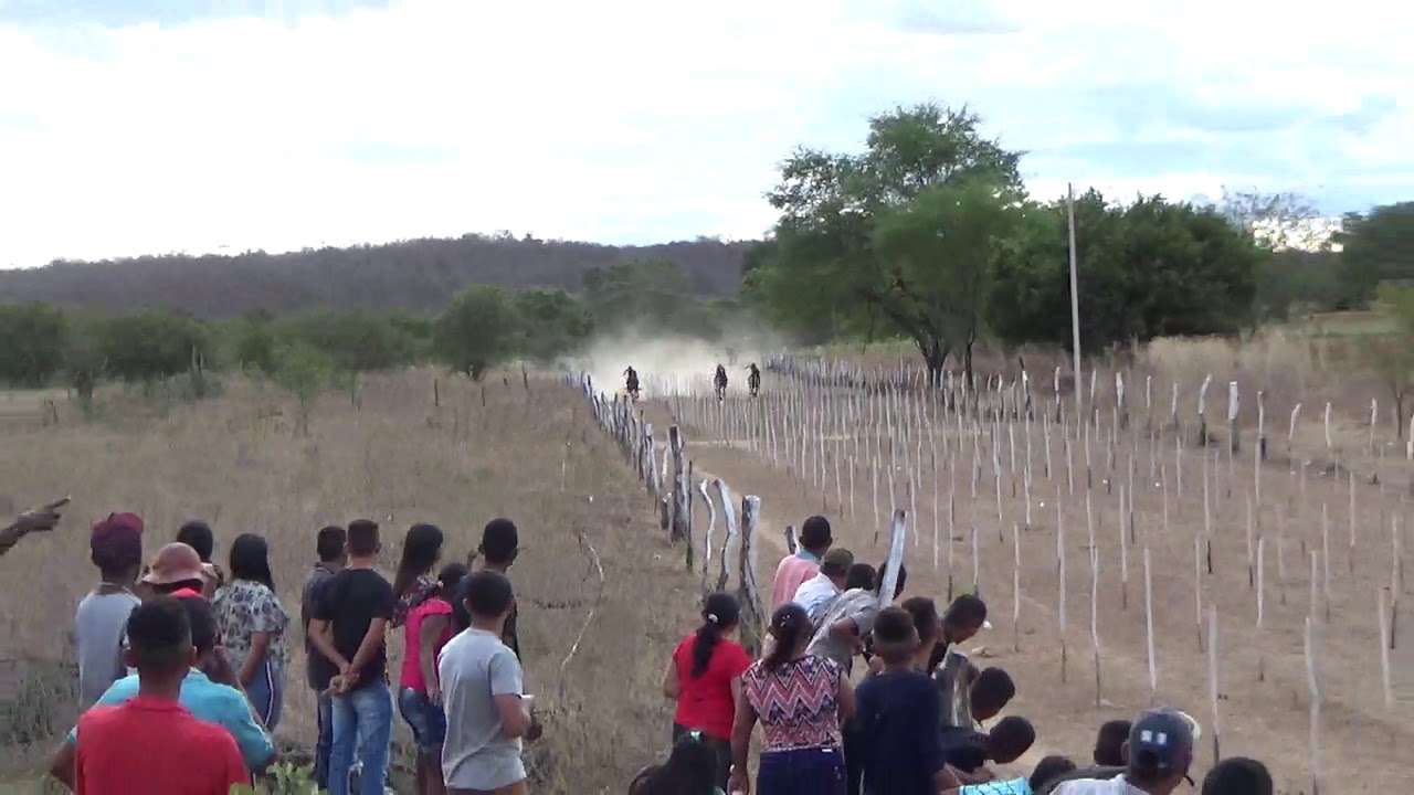maus fly cavalo bom - YouTube
